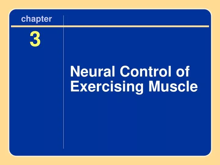 PPT - Neural Control of Exercising Muscle PowerPoint Presentation, free ...
