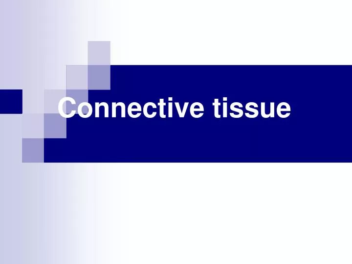 PPT - Connective tissue PowerPoint Presentation, free download - ID:5704293