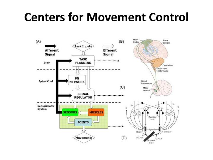 PPT - How do we know these brain structures are involved in the ...