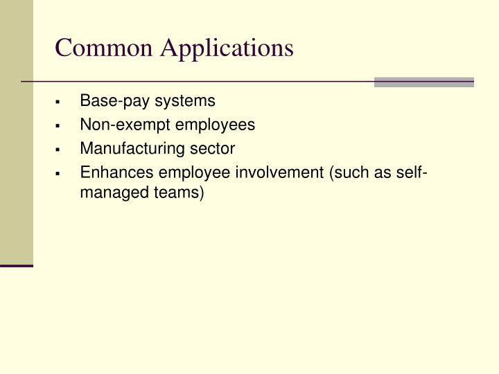 PPT - Skill/Knowledge Based Pay Competency Modeling PowerPoint ...