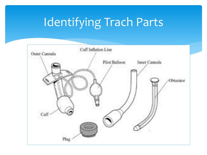 PPT - Tracheostomy Care PowerPoint Presentation - ID:5705059