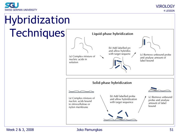 PPT - Introduction to Virology PowerPoint Presentation - ID:5707217