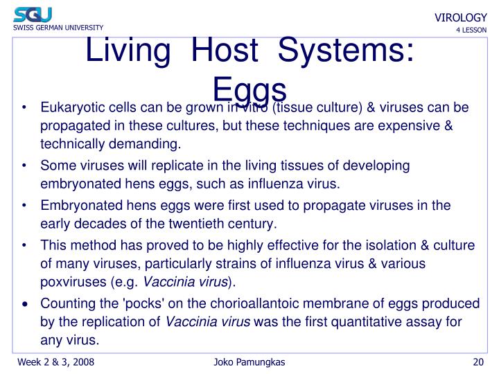 PPT - Introduction to Virology PowerPoint Presentation - ID:5707217