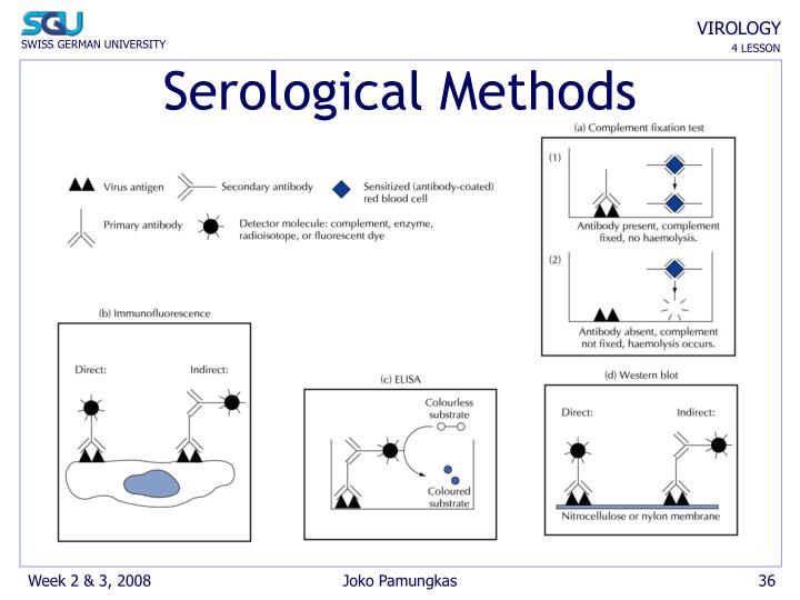 PPT - Introduction to Virology PowerPoint Presentation - ID:5707217