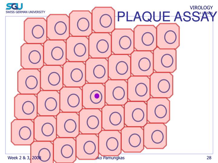 PPT - Introduction to Virology PowerPoint Presentation - ID:5707217