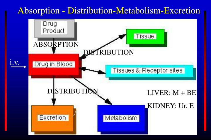 PPT - Pharmacokinetics PowerPoint Presentation - ID:5708450