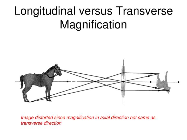 PPT - Fig 5.1 PowerPoint Presentation - ID:5708495