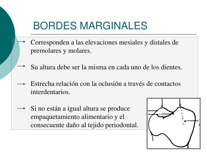 PPT - INTRODUCCÓN A LA OCLUSIÓN I PowerPoint Presentation - ID:5709096