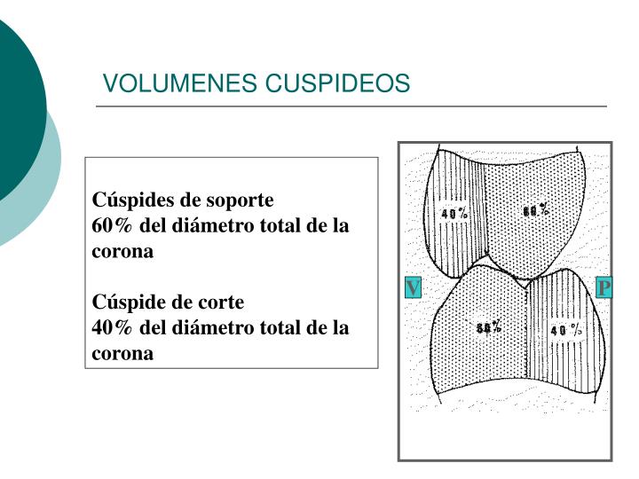 PPT - INTRODUCCÓN A LA OCLUSIÓN I PowerPoint Presentation - ID:5709096
