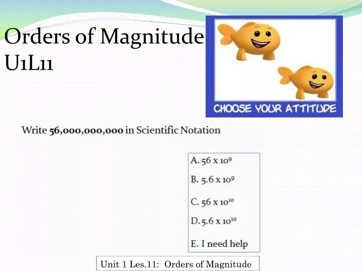 PPT - Orders of Magnitude U1L11 PowerPoint Presentation, free download ...