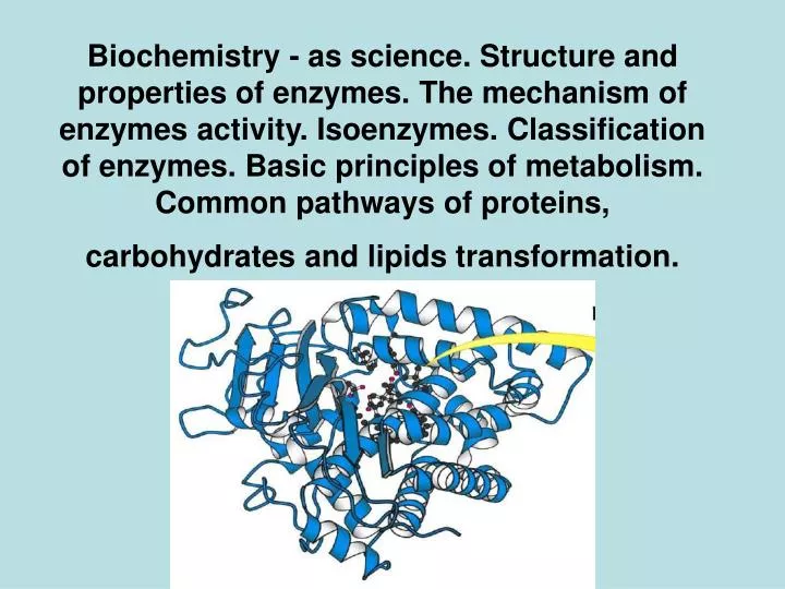 PPT - Common features for enzymes and inorganic catalysts: PowerPoint ...