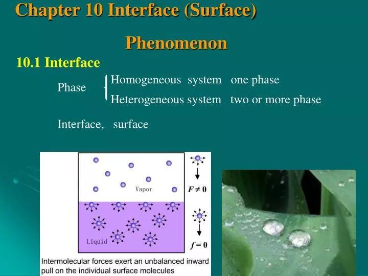 PPT - Chapter 10 Interface (Surface) Phenomenon PowerPoint Presentation ...