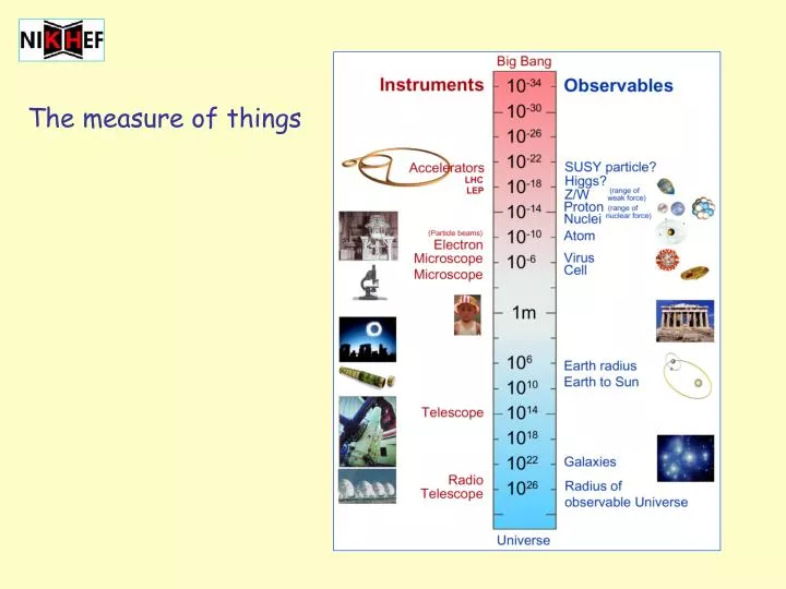 PPT - The measure of things PowerPoint Presentation, free download - ID ...