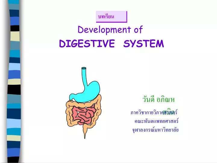 Ppt Development Of Digestive System Powerpoint Presentation Free