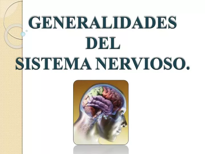 Ppt Generalidades Del Sistema Nervioso Powerpoint Presentation Free