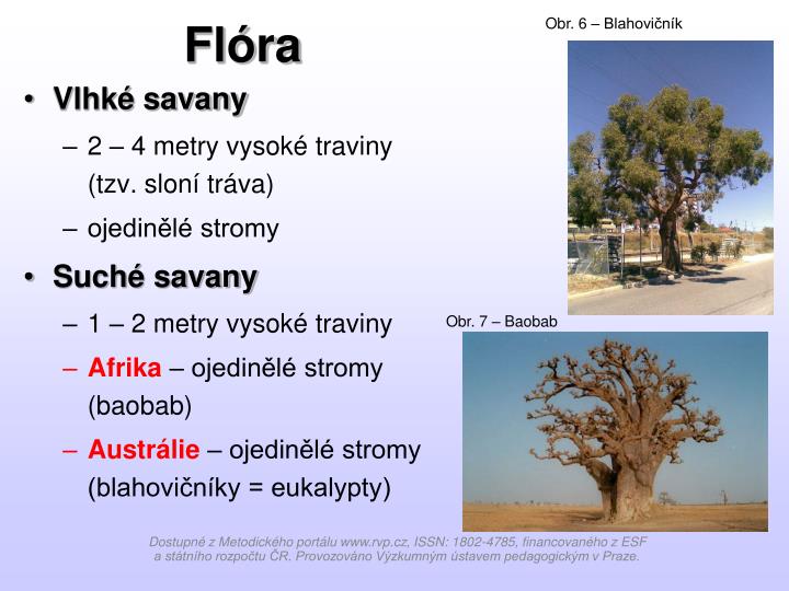 PPT - Savana PowerPoint Presentation - ID:5711707