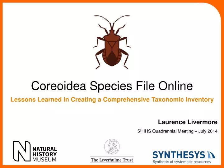 PPT - Coreoidea Species File Online PowerPoint Presentation, free ...