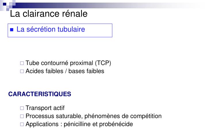 PPT - La clairance rénale Alain Bousquet-Mélou PowerPoint Presentation ...