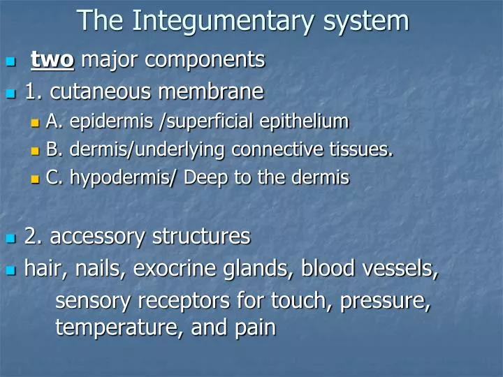 PPT - The Integumentary system PowerPoint Presentation, free download ...