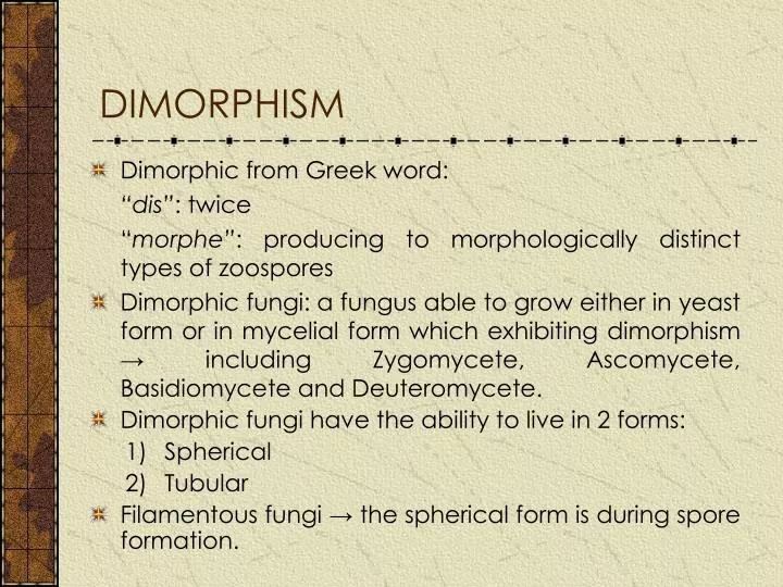 PPT - DIMORPHISM PowerPoint Presentation, free download - ID:5714157