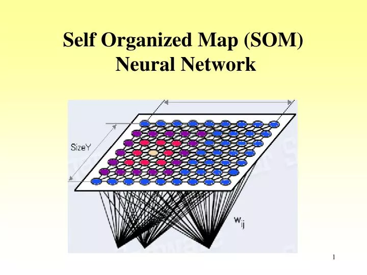 Ppt Self Organized Map Som Neural Network Powerpoint Presentation Free Download Id5714551