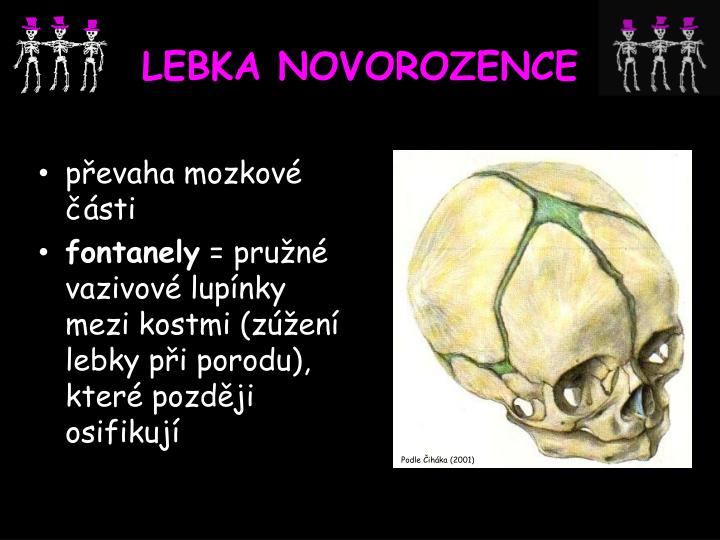PPT - Výukový matriál byl zpracován v rámci projektu OPVK 1.5 EU peníze ...
