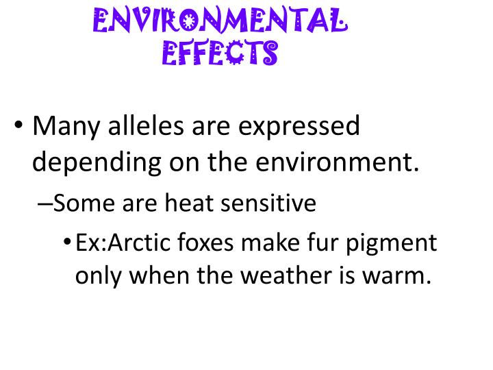 PPT - GENETICS PowerPoint Presentation - ID:5715614