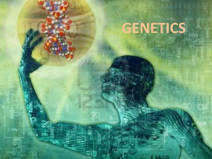 Ppt Genetics Powerpoint Presentation Free Download Id 5715614