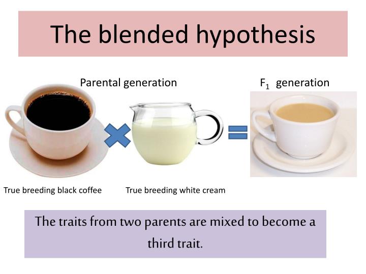 PPT - GENETICS PowerPoint Presentation - ID:5715614