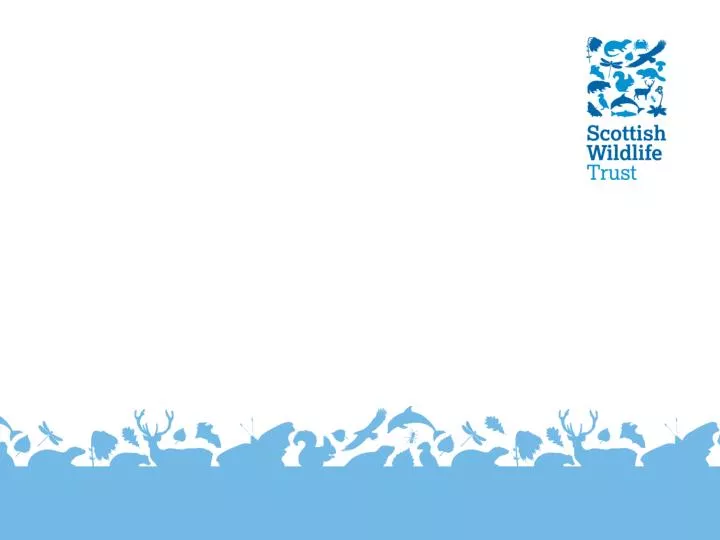 PPT - 002__057__general__Trust_powerpoint_template__1329924091 ...