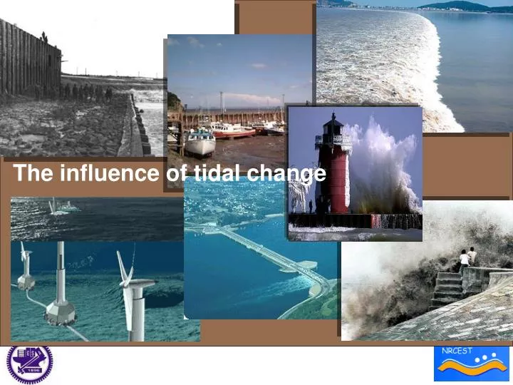 PPT - The influence of tidal change PowerPoint Presentation, free ...