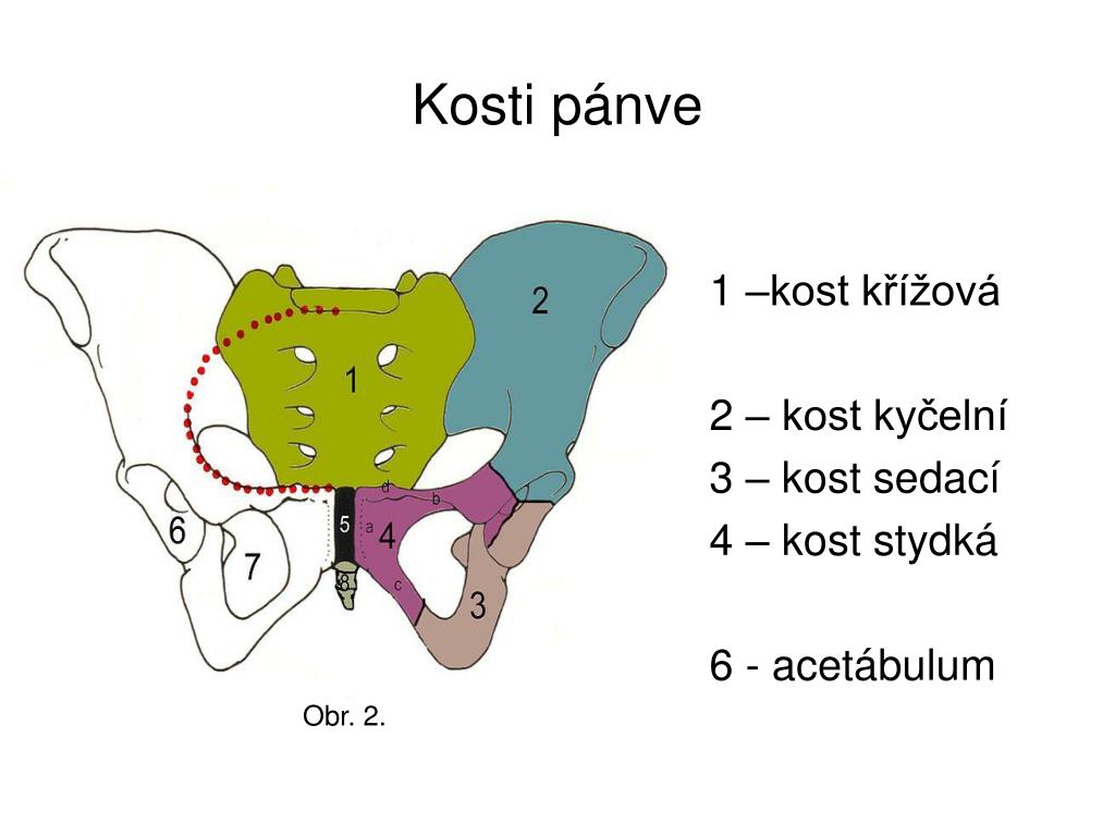 PPT - Číslo projektu : CZ.1.07/1.5.00/34.0188 Název projektu : Moderní ...