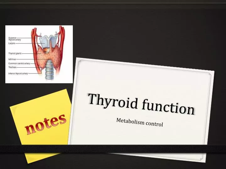 PPT - Thyroid function PowerPoint Presentation, free download - ID:5717714