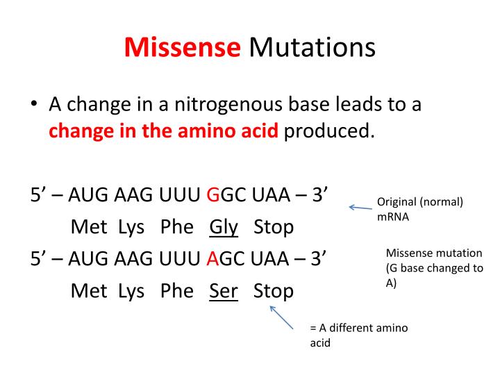 PPT - Mutations and Gel Electrophoresis PowerPoint Presentation - ID ...