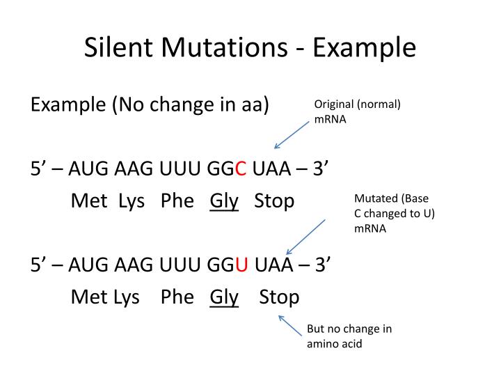 PPT - Mutations and Gel Electrophoresis PowerPoint Presentation - ID ...