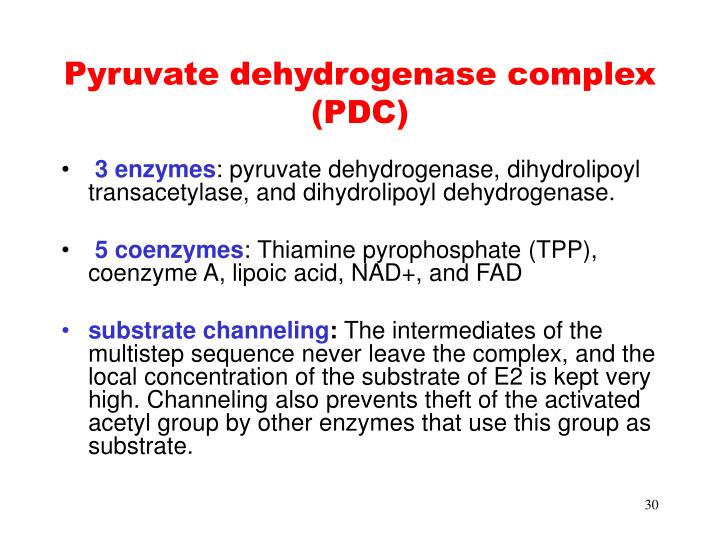 PPT - Chapter 15 Principles of metabolic regulation: Glucose and ...