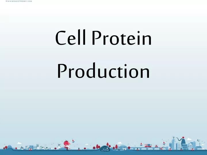 PPT - Cell Protein Production PowerPoint Presentation, free download ...
