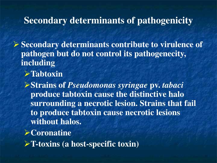 PPT - Chapter 4 Phytotoxin PowerPoint Presentation - ID:5719314