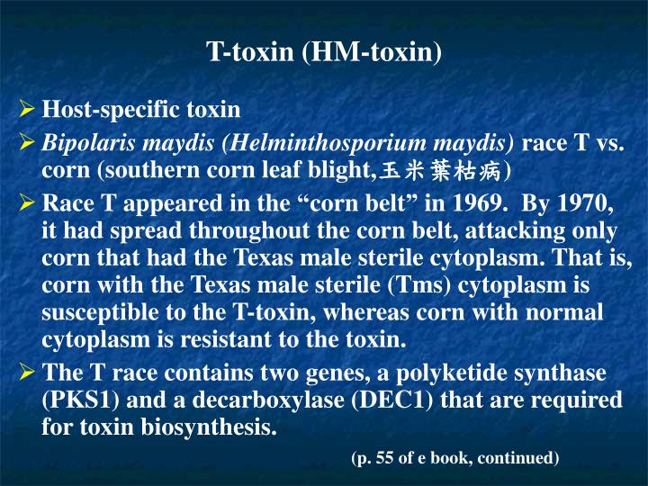PPT - Chapter 4 Phytotoxin PowerPoint Presentation - ID:5719314