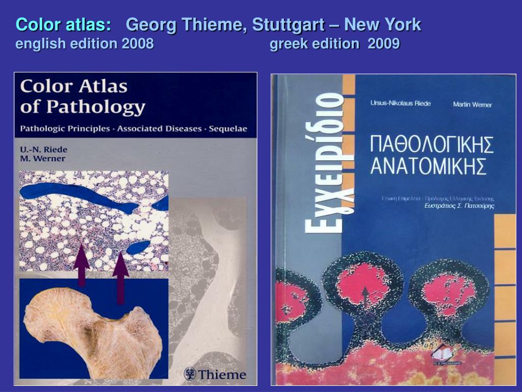 PPT - TONEGAWA Susumu 1987 Nobel prize antibody diversity PowerPoint ...
