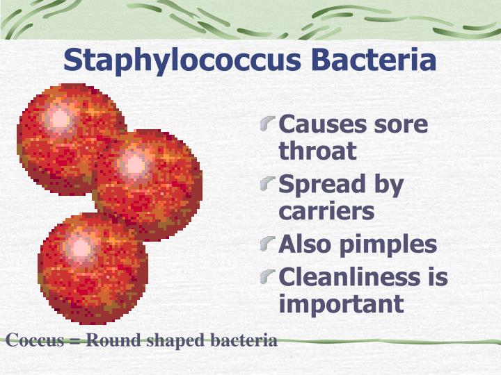 PPT - Immunity & Disease PowerPoint Presentation - ID:5722588