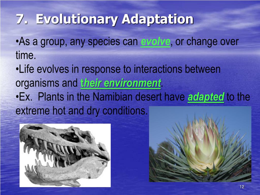 Ppt Introduction To Biology Powerpoint Presentation Free Download