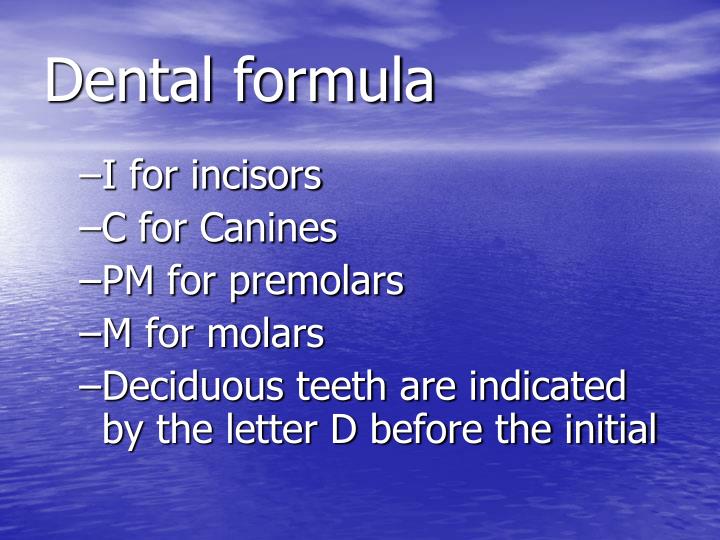 PPT - Introduction to Dental Anatomy PowerPoint Presentation - ID:5724621