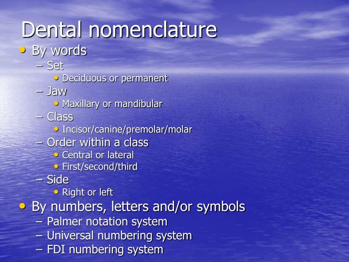 PPT - Introduction to Dental Anatomy PowerPoint Presentation - ID:5724621
