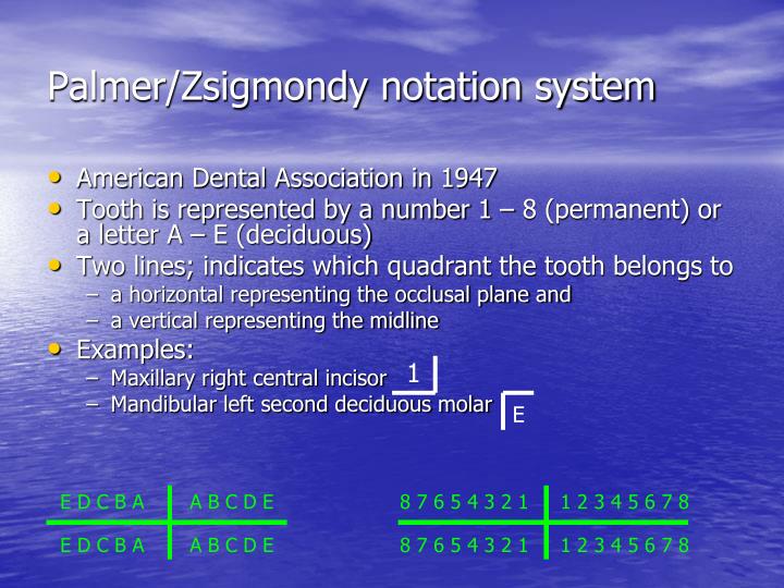 PPT - Introduction to Dental Anatomy PowerPoint Presentation - ID:5724621