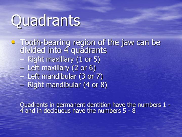 PPT - Introduction to Dental Anatomy PowerPoint Presentation - ID:5724621