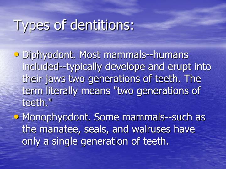 PPT - Introduction to Dental Anatomy PowerPoint Presentation - ID:5724621