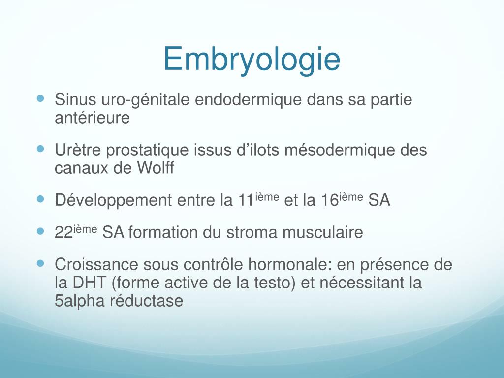 PPT - Aspects physiopathologiques de l’adénome prostatique PowerPoint ...