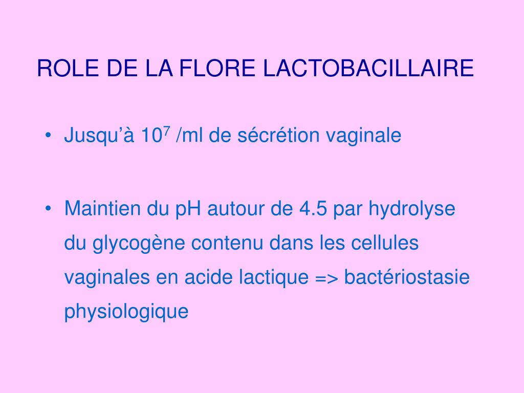 Ppt « La Vaginose Bactérienne En 2006 Powerpoint Presentation Id