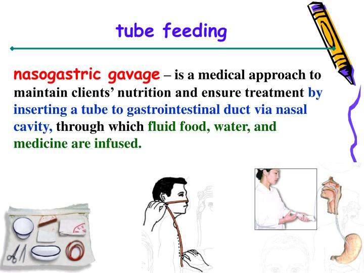 PPT - Chapter 10 Diet and Nutrition PowerPoint Presentation - ID:5725462